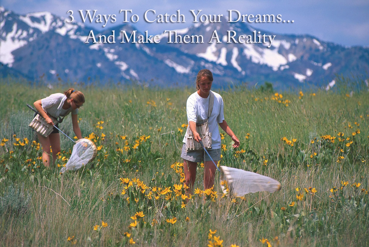 3 Ways to Catch Your Dreams - Empowered Cardology